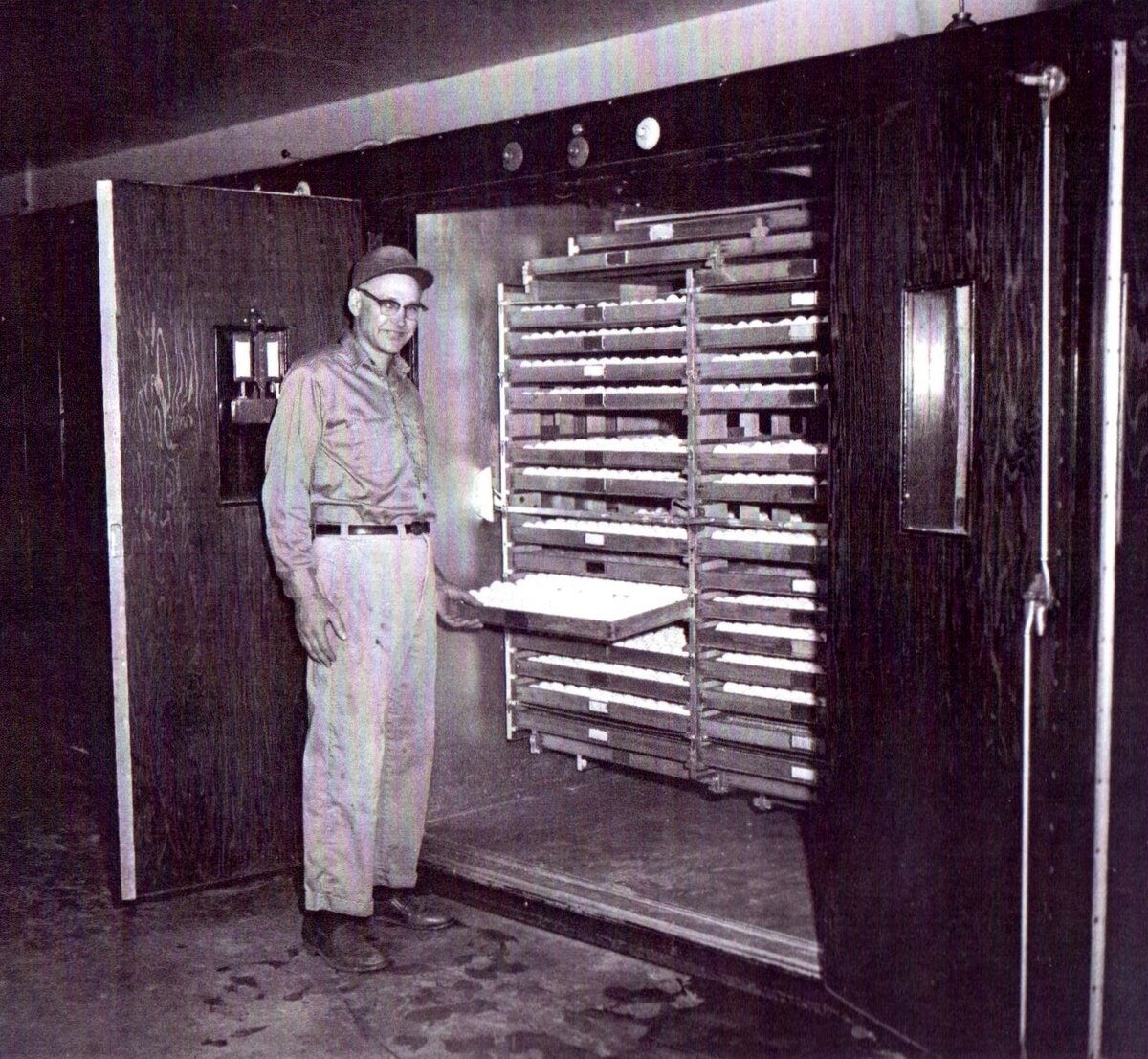 About Swan Lake Resort in Plymouth, Indiana